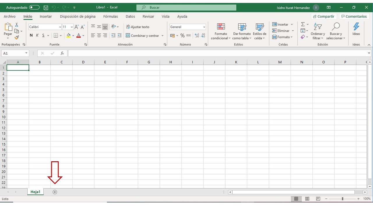 Cómo usar Excel: paso a paso para gestionar tus datos